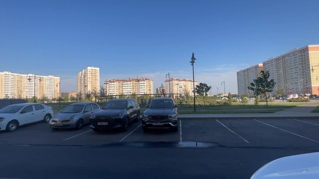 Морская Горгиппия