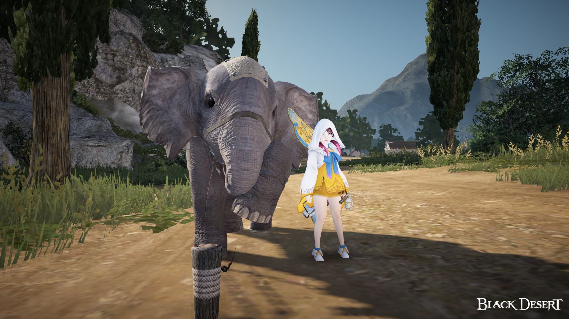 Black Desert Online