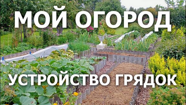 Огород