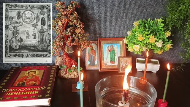Вычитки. Чистки. Псалмы. Молитвы