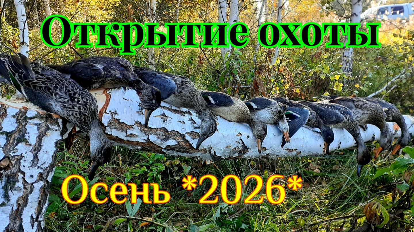 Охота, природа Сибири.