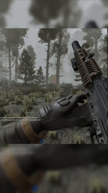 Shorts STALKER Anomaly