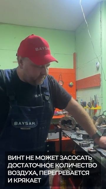 Shorts BAYSAR
