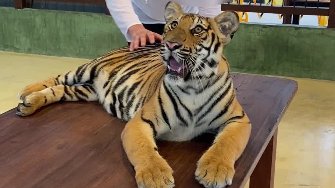Тайланд