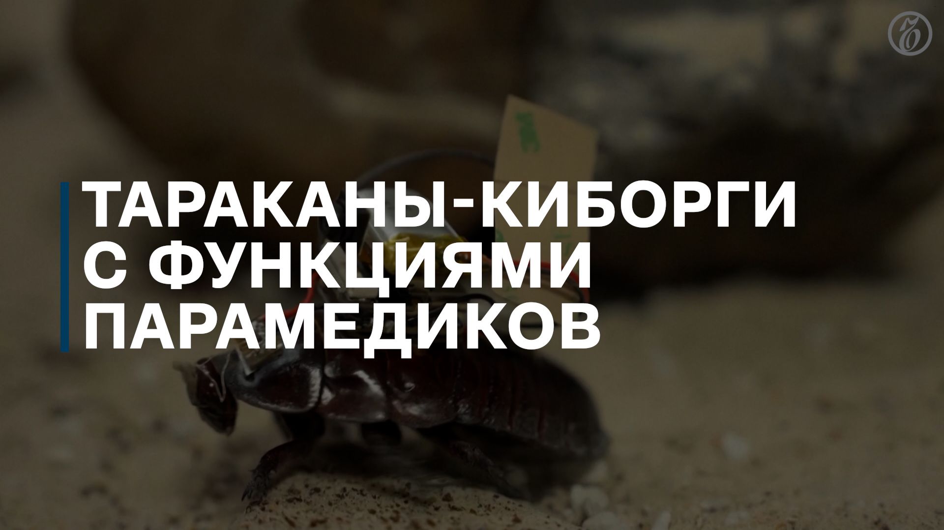 Наука