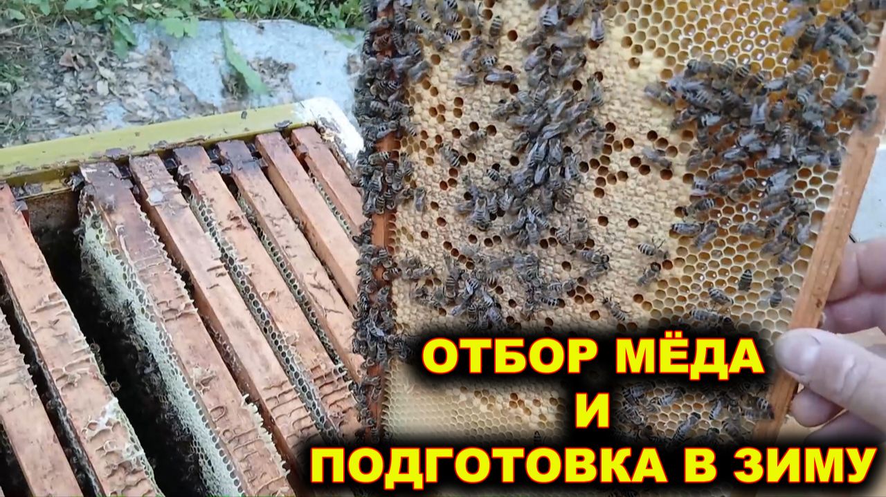 Лайфхаки. Делюсь опытом.