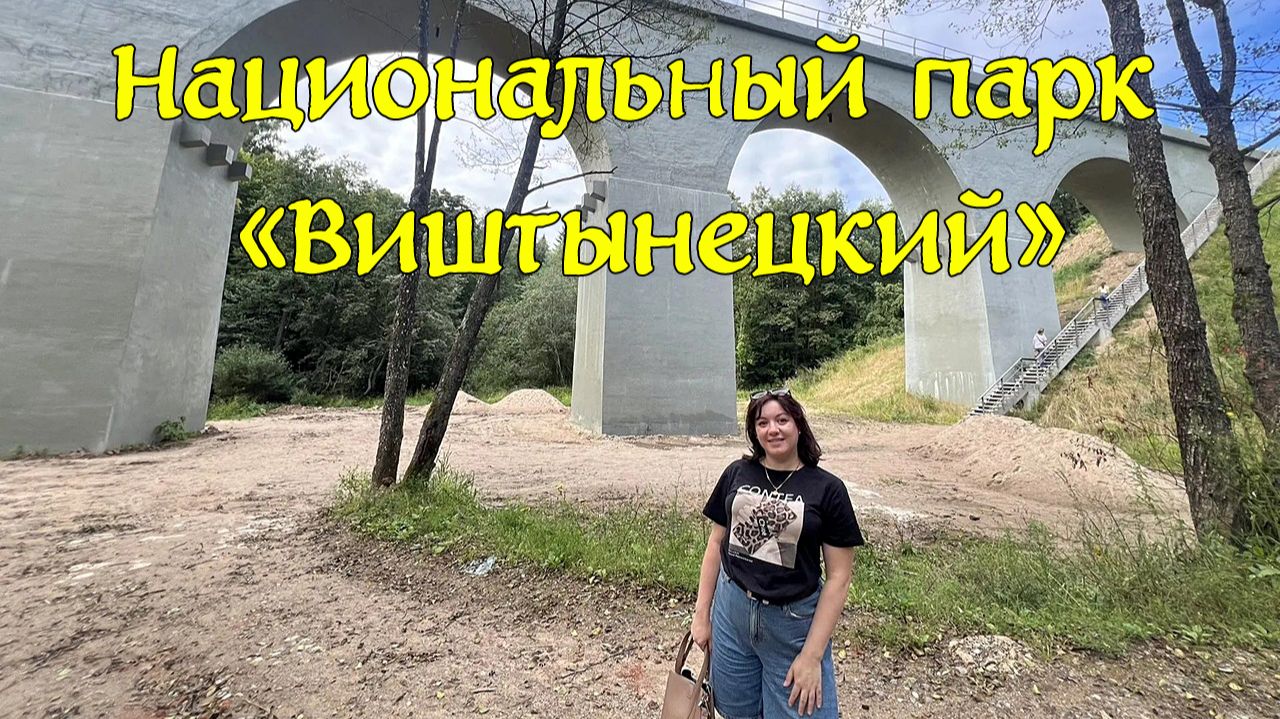 Все видео