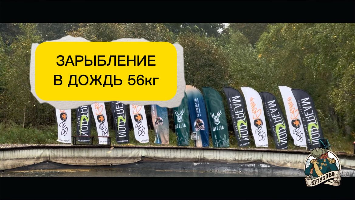 Зарыбление