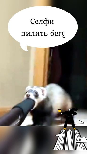 Юмор