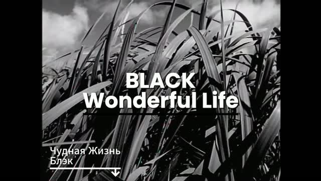 Поп-музыка