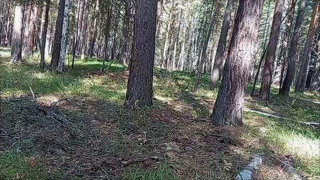 Настя и Мурка