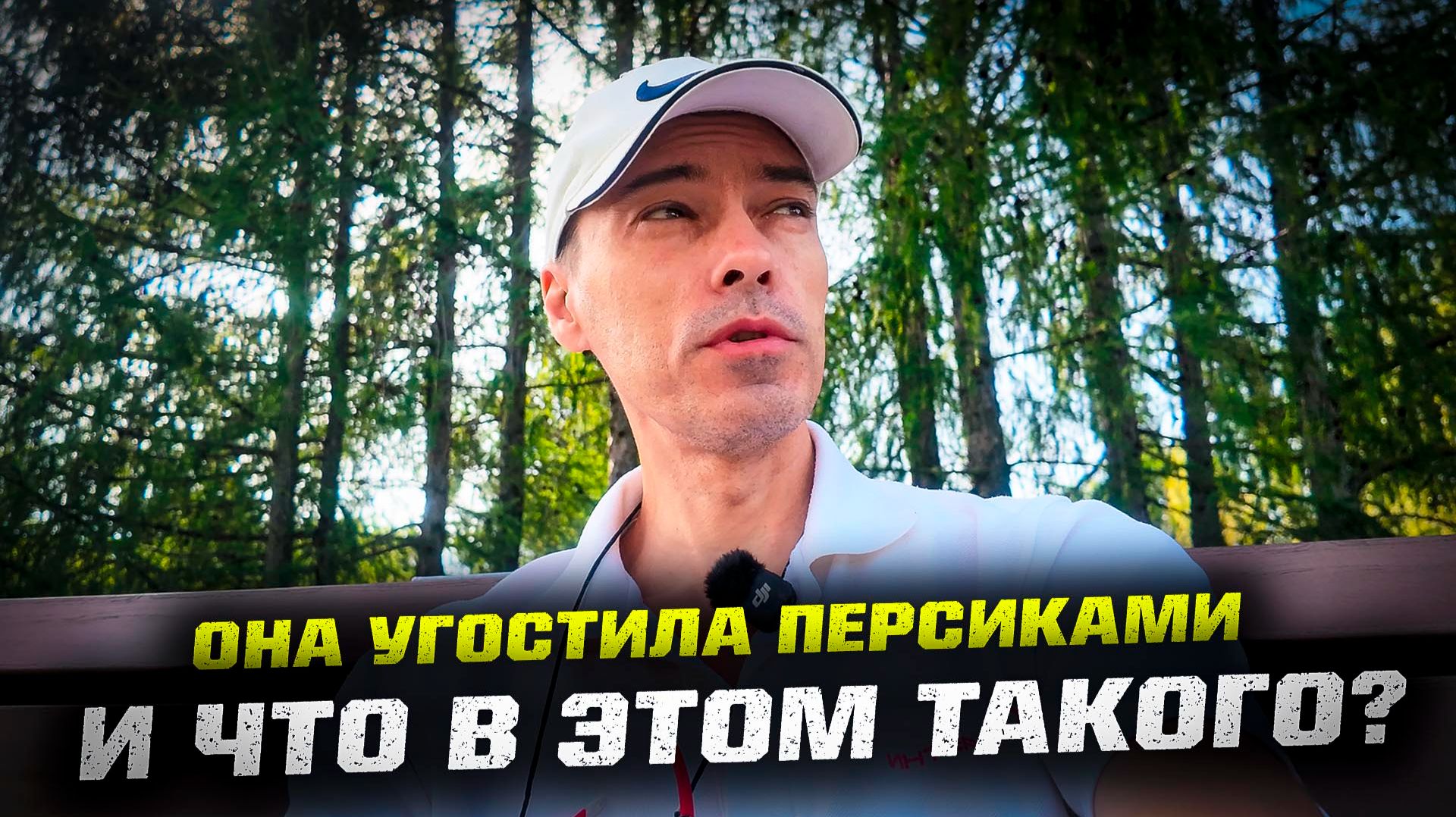 Видеоблог