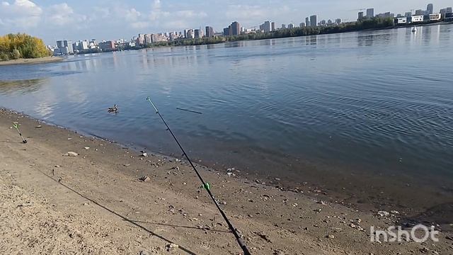 о рыбалке.