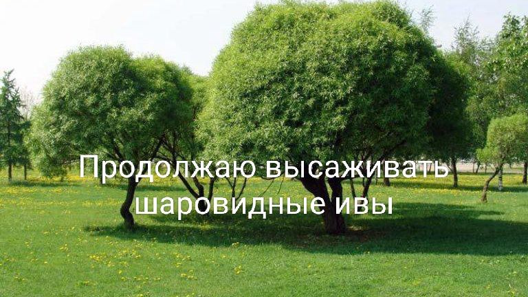 Жизнь,события п.Стрижи