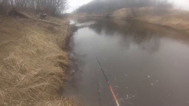 весенняя рыбалка на попловок