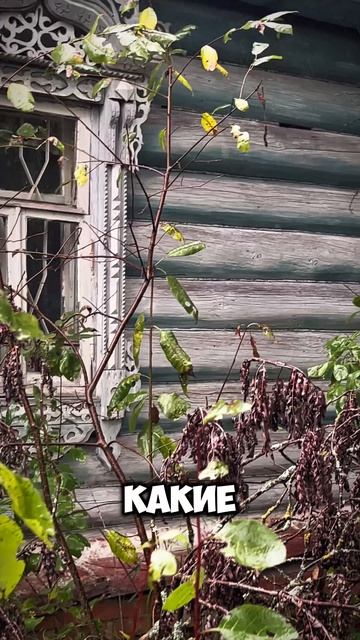 Заброшенные населенные пункты