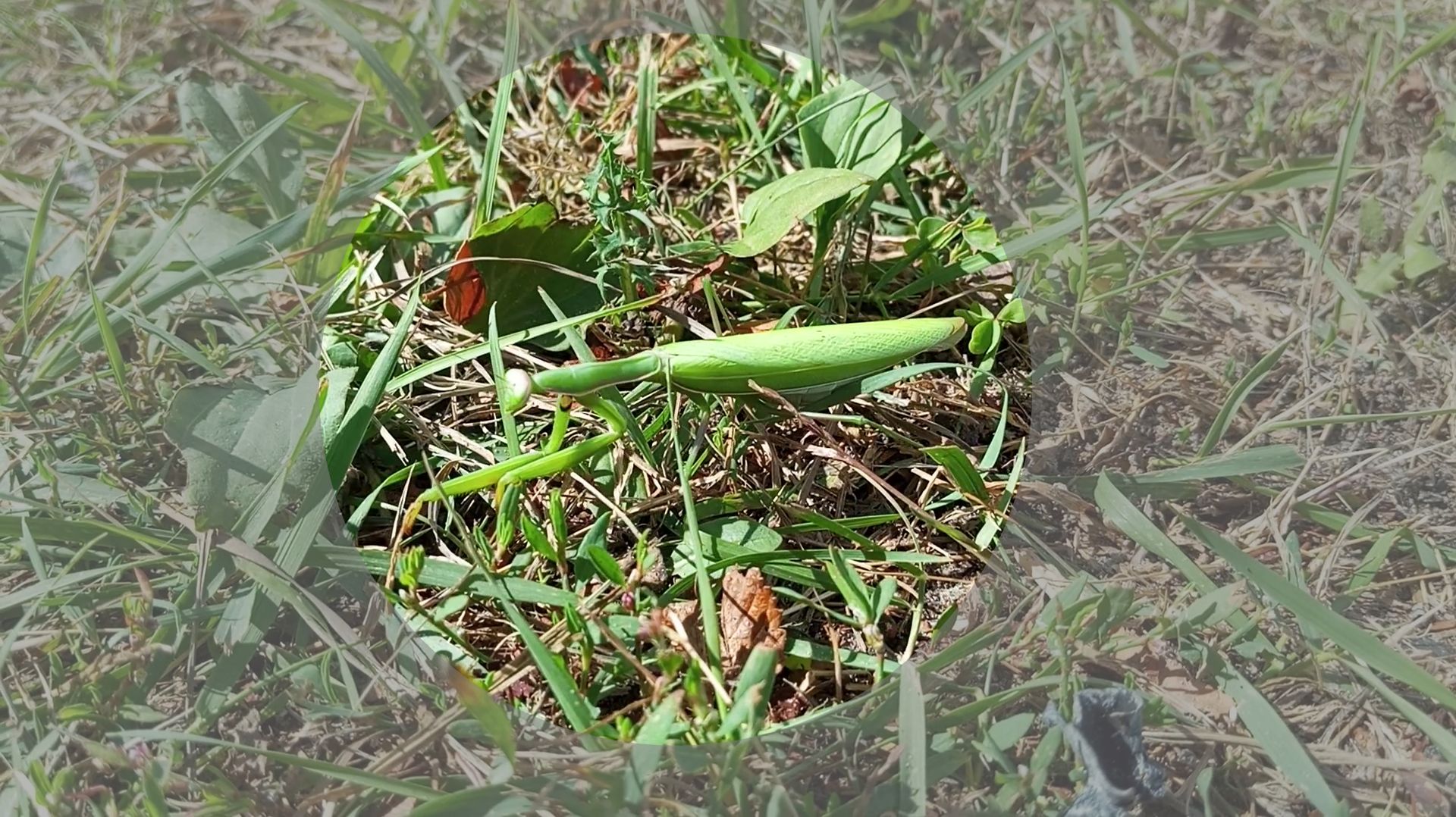 РАЗНОЕ