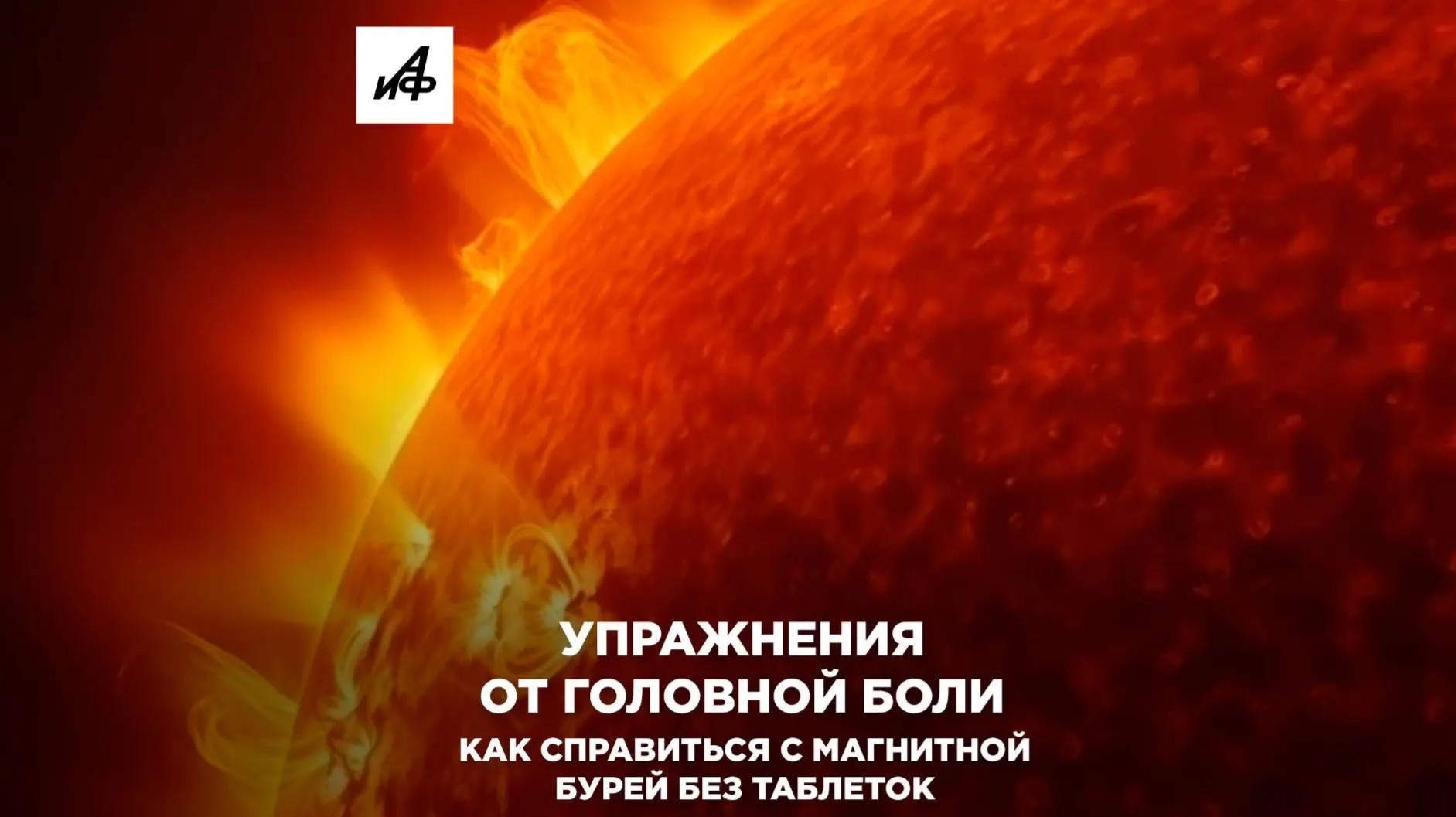 Беседы с доктором Шишониным