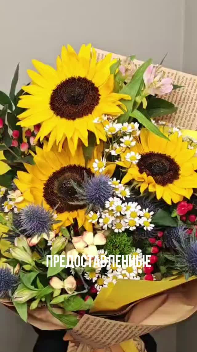 Миссис Москва - Валентина Вылегжанина