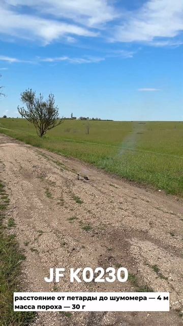 Петарды