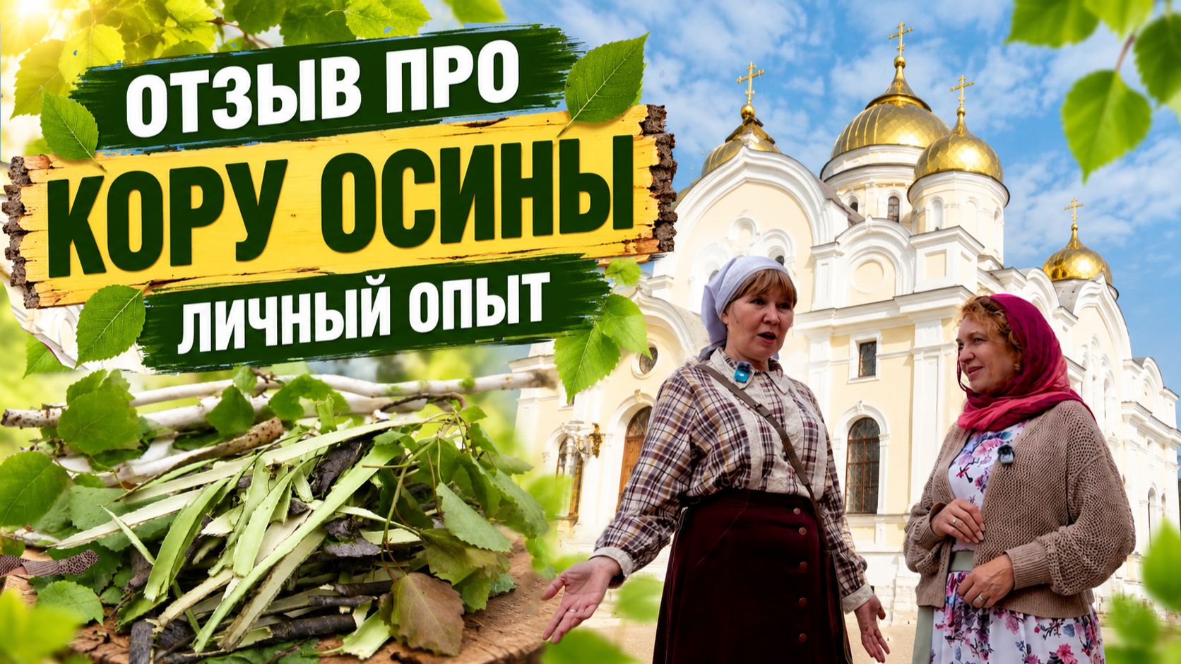 ОСИНА - все про Осину и секреты коры Осины