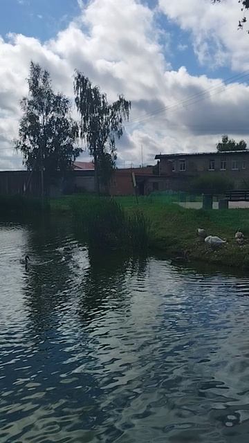 Интересные события в Кесовой Горе