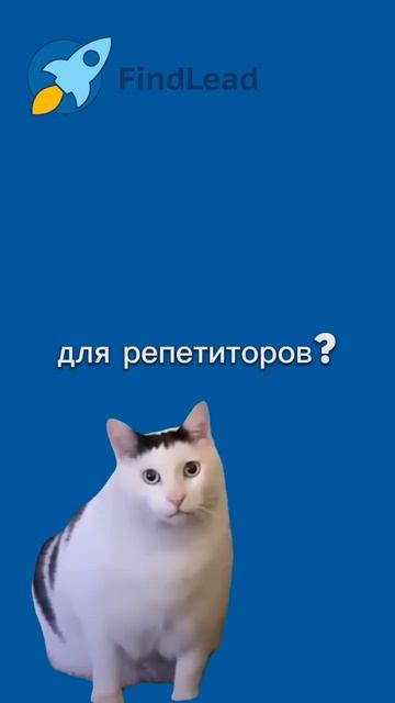 FindLead (ФайндЛид)