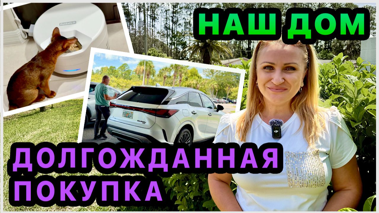 Жизнь в новом доме