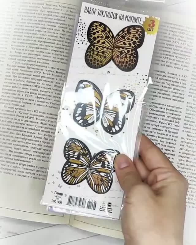 Школа и детский сад