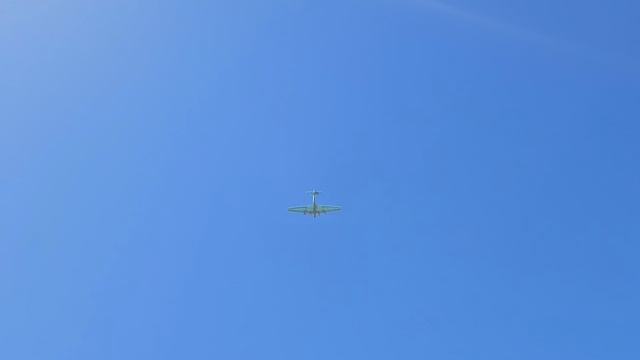 Авиамодели в Экспофоруме