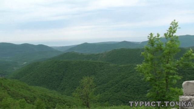 ГЕЛЕНДЖИК