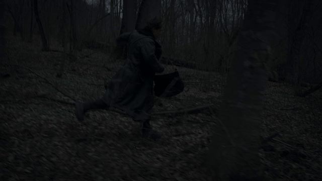 Трейлеры