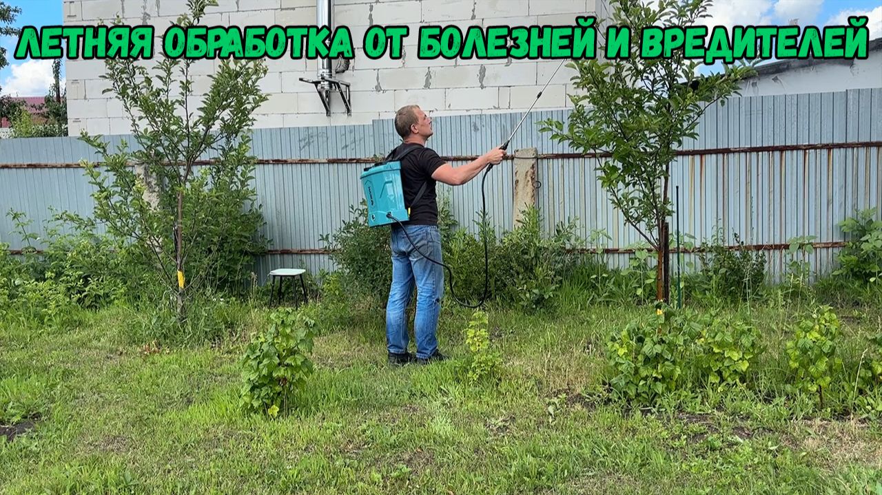 Сезон 2026