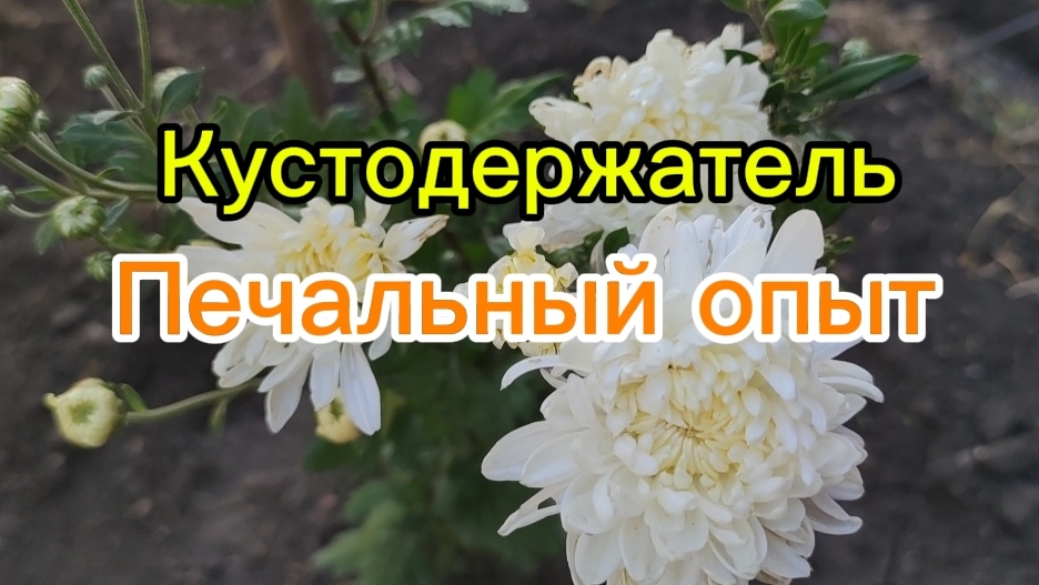 Моя жизнь. Лайфстайл