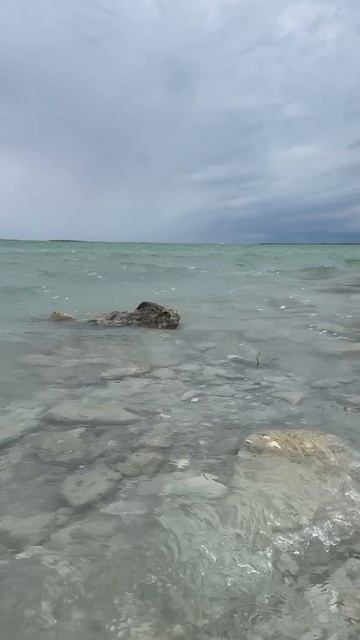 Шортсы