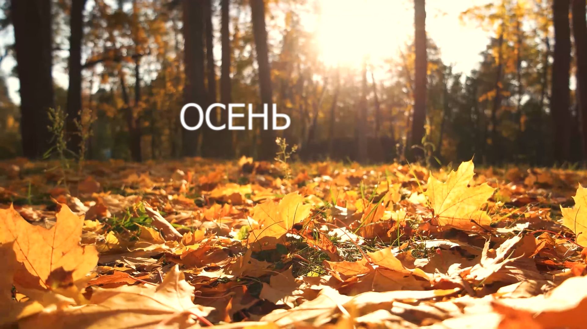 природа