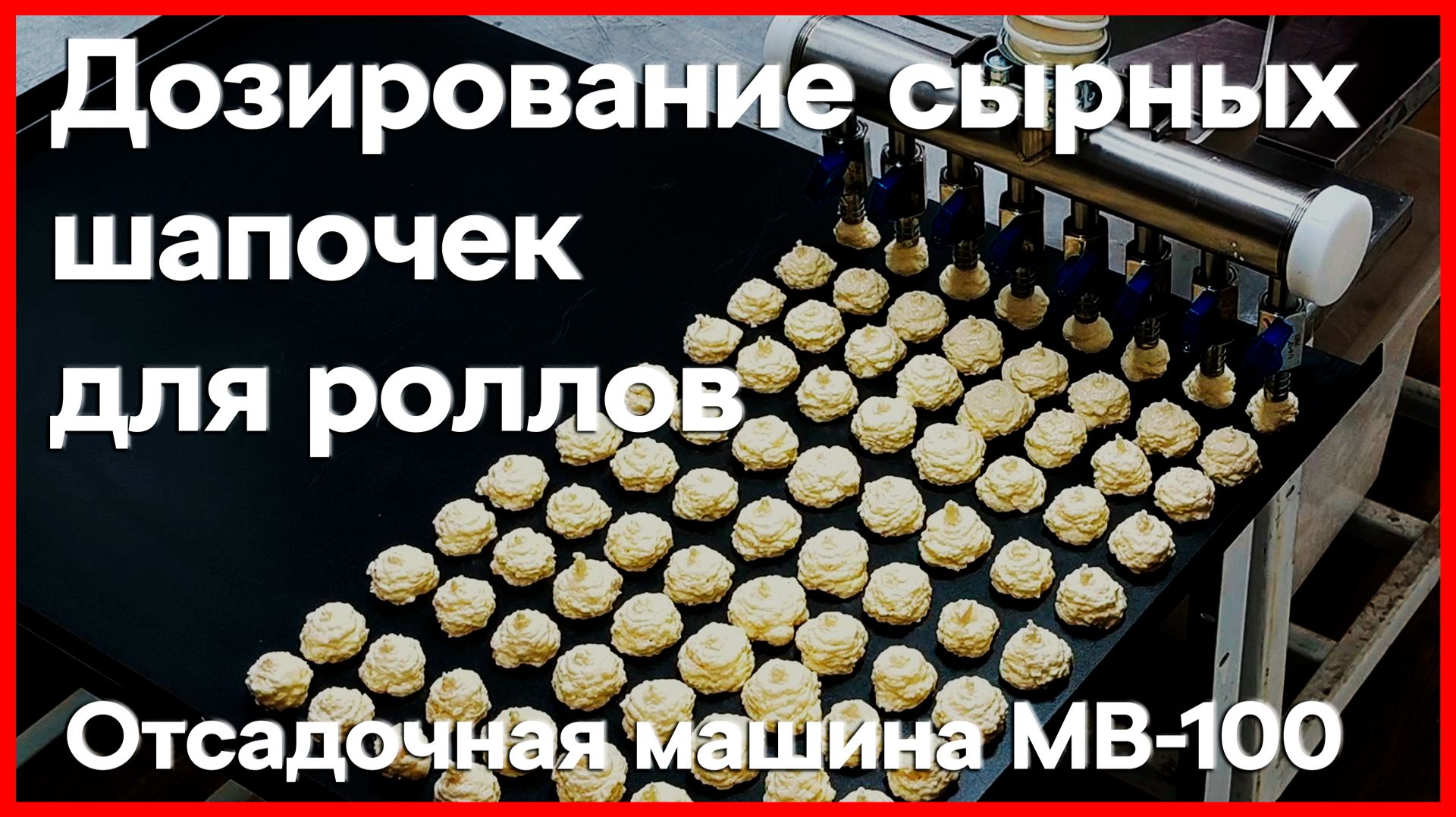 Дозаторы для дозирования сырья
