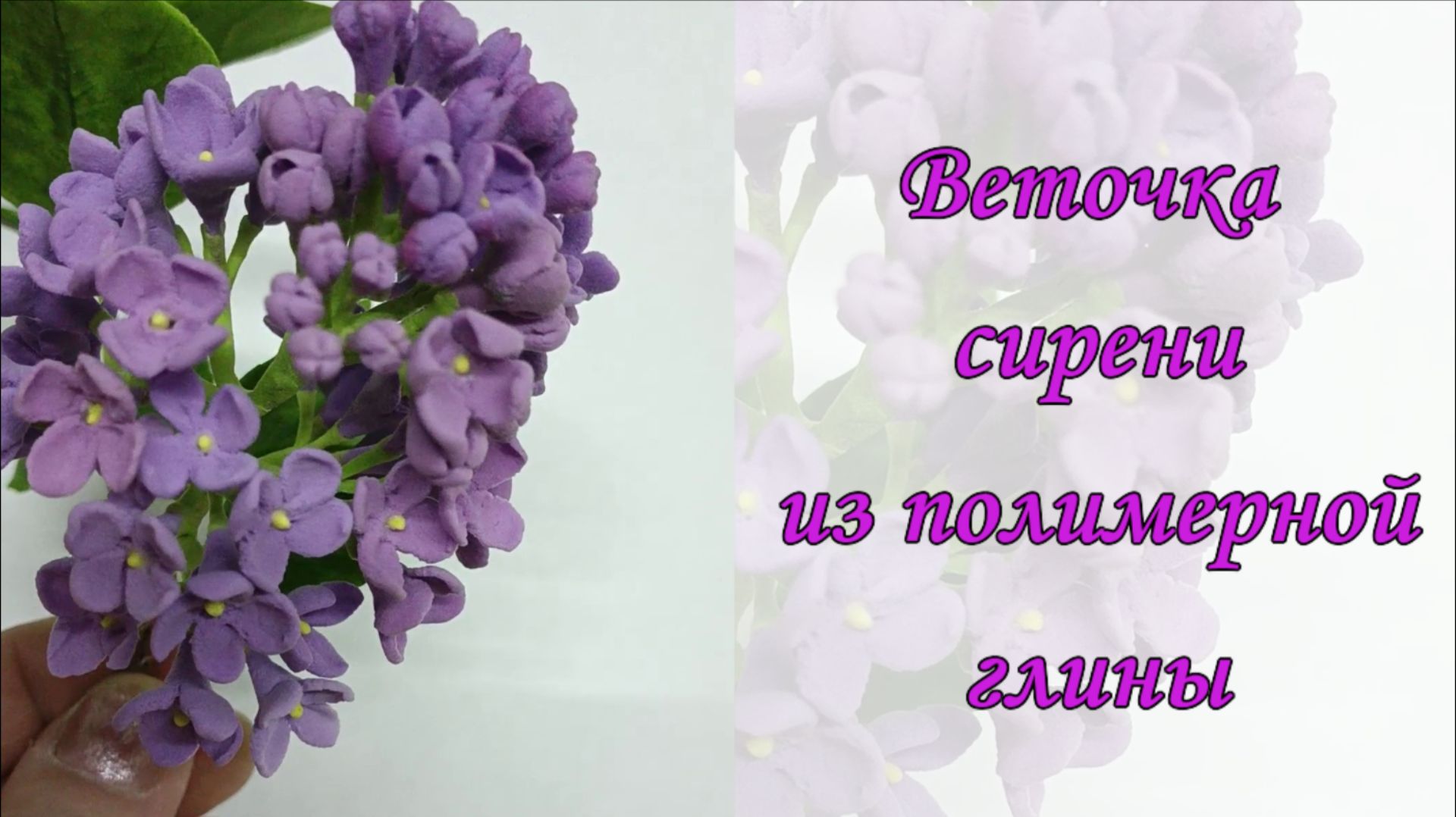 Окружи себя красотой