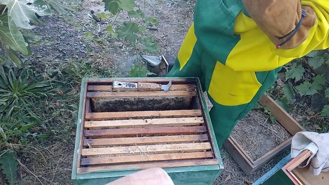 Двухматочная пасека