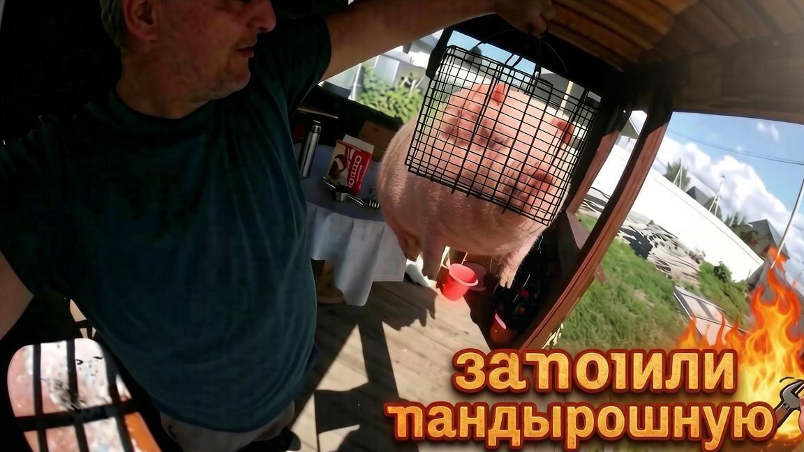 Битва за урожай