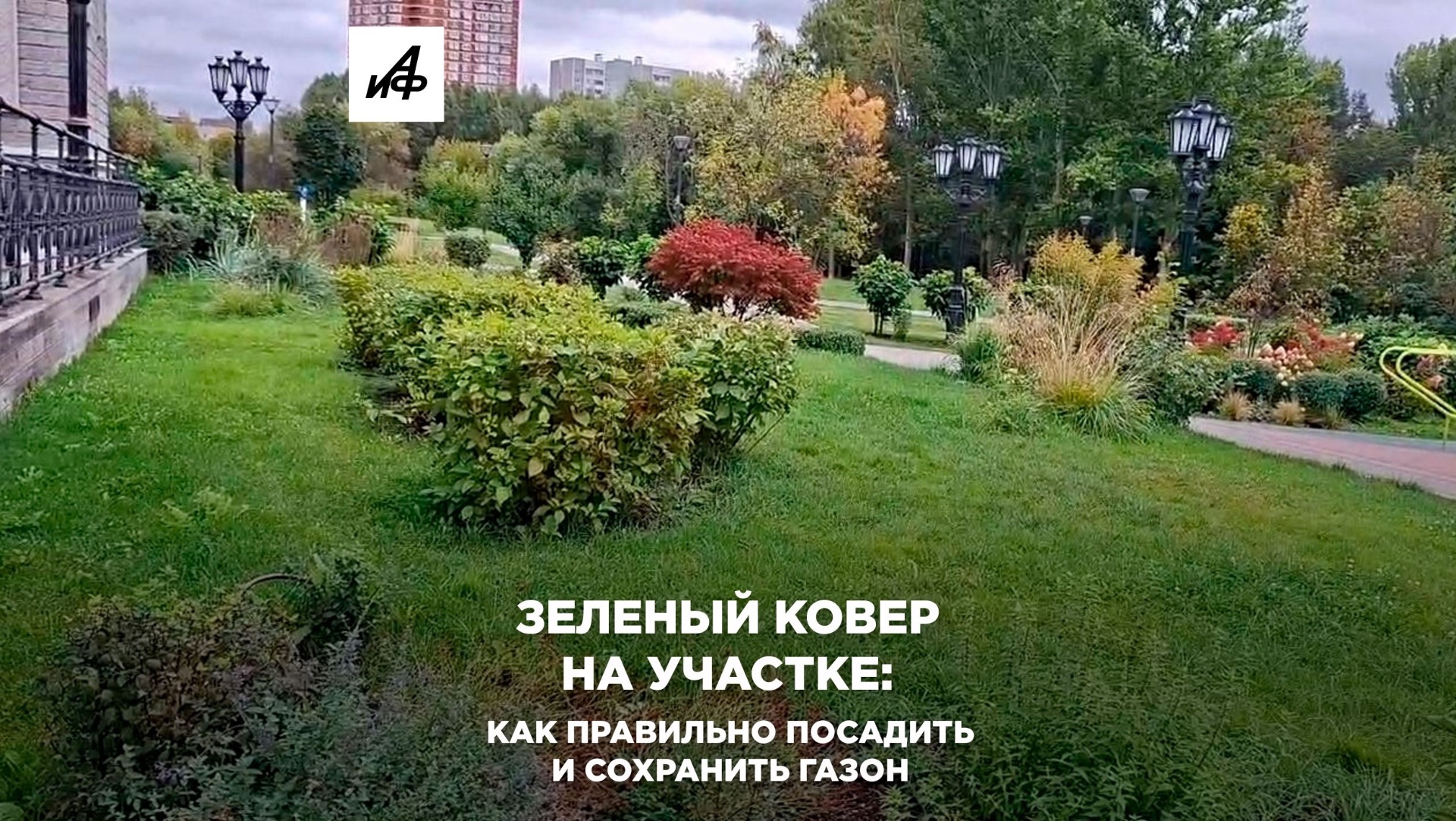 АиФ. На даче