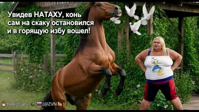 Музыка (инструменталка)