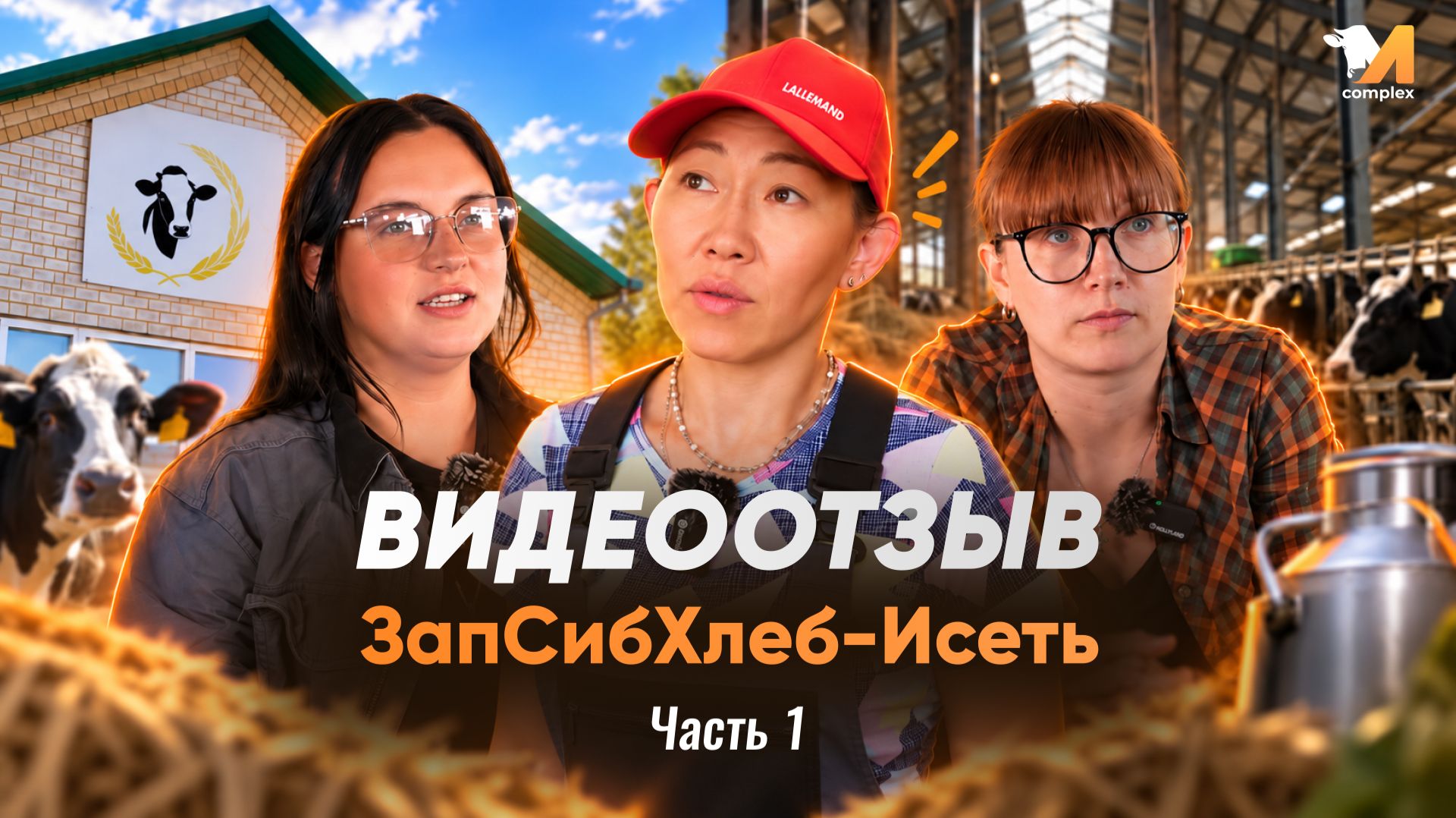 Отзывы