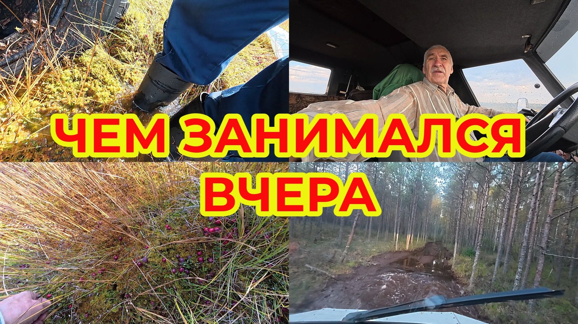 Покатушки на снегоболотоходе Белый Лис