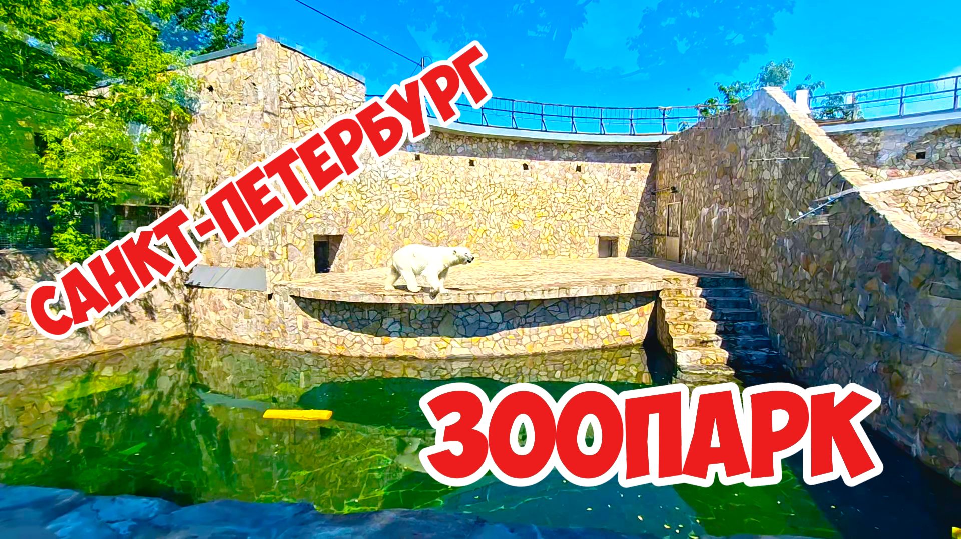 Основной