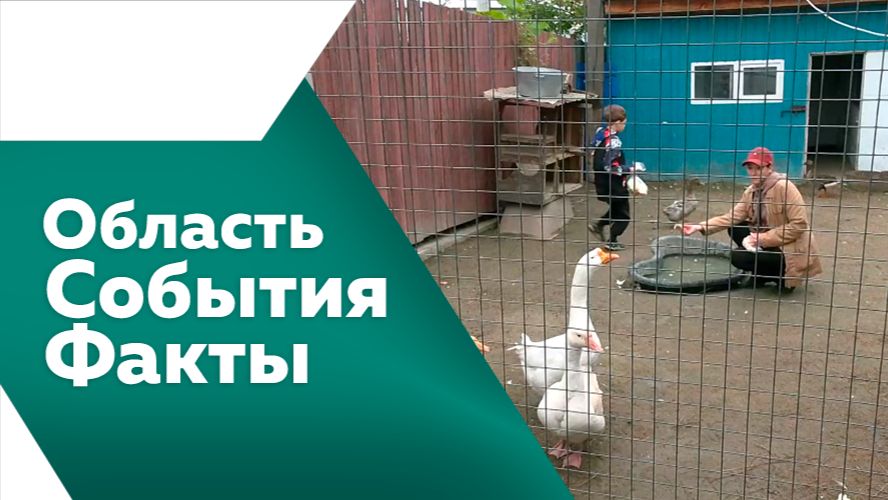 ОБЛАСТЬ.СОБЫТИЯ.ФАКТЫ