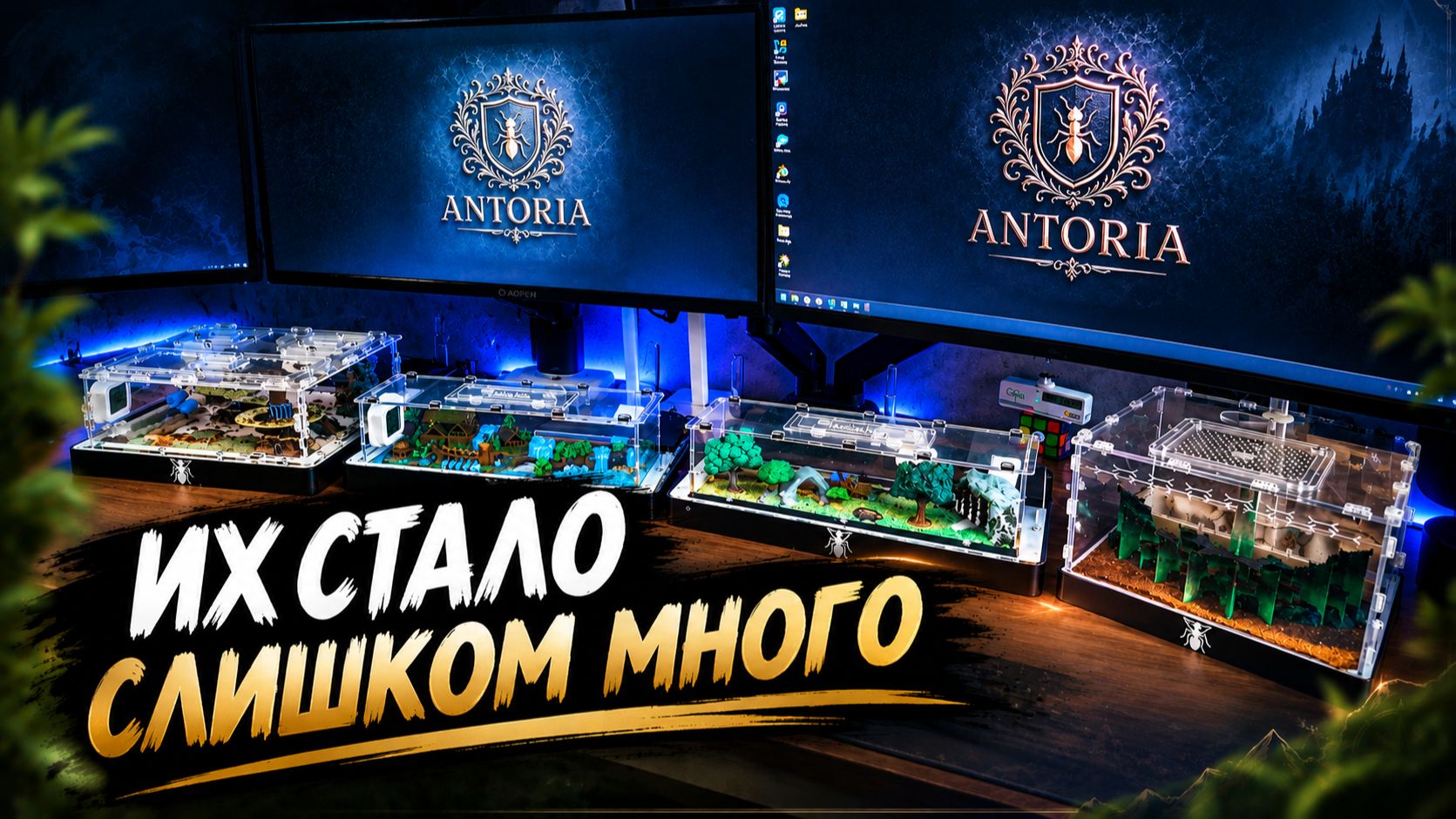 Antoria
