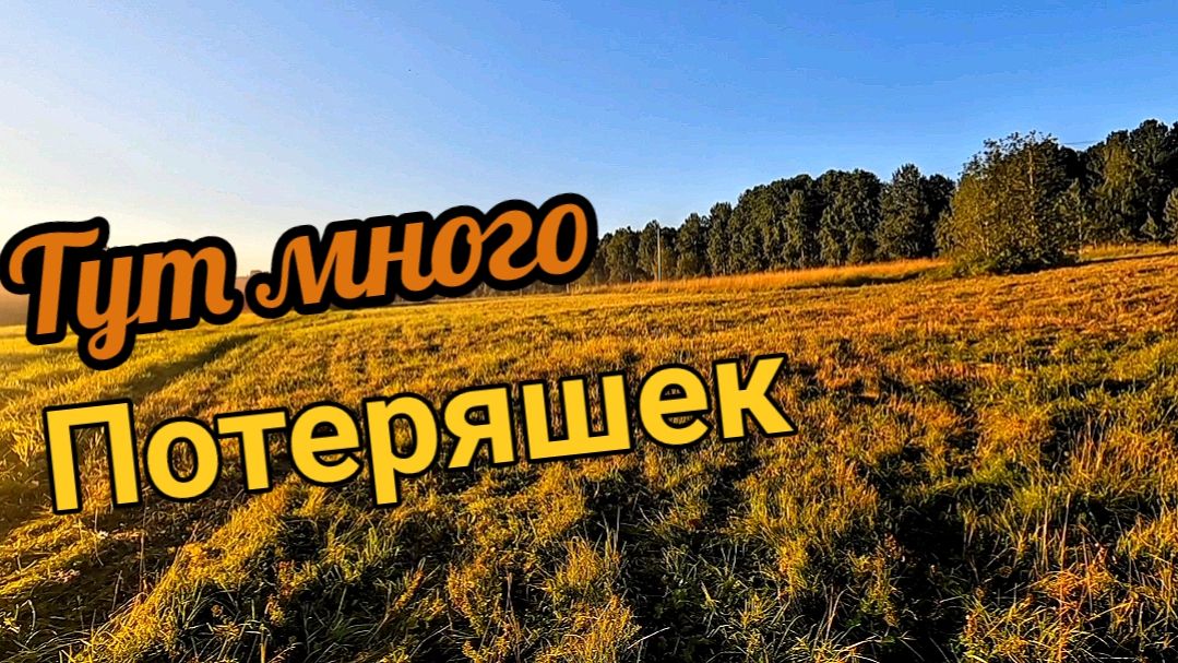 Поиск металлолома с металлоискателем,метало коп.