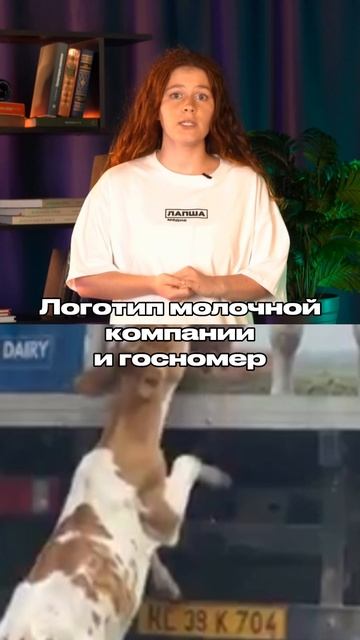 А если по правде?