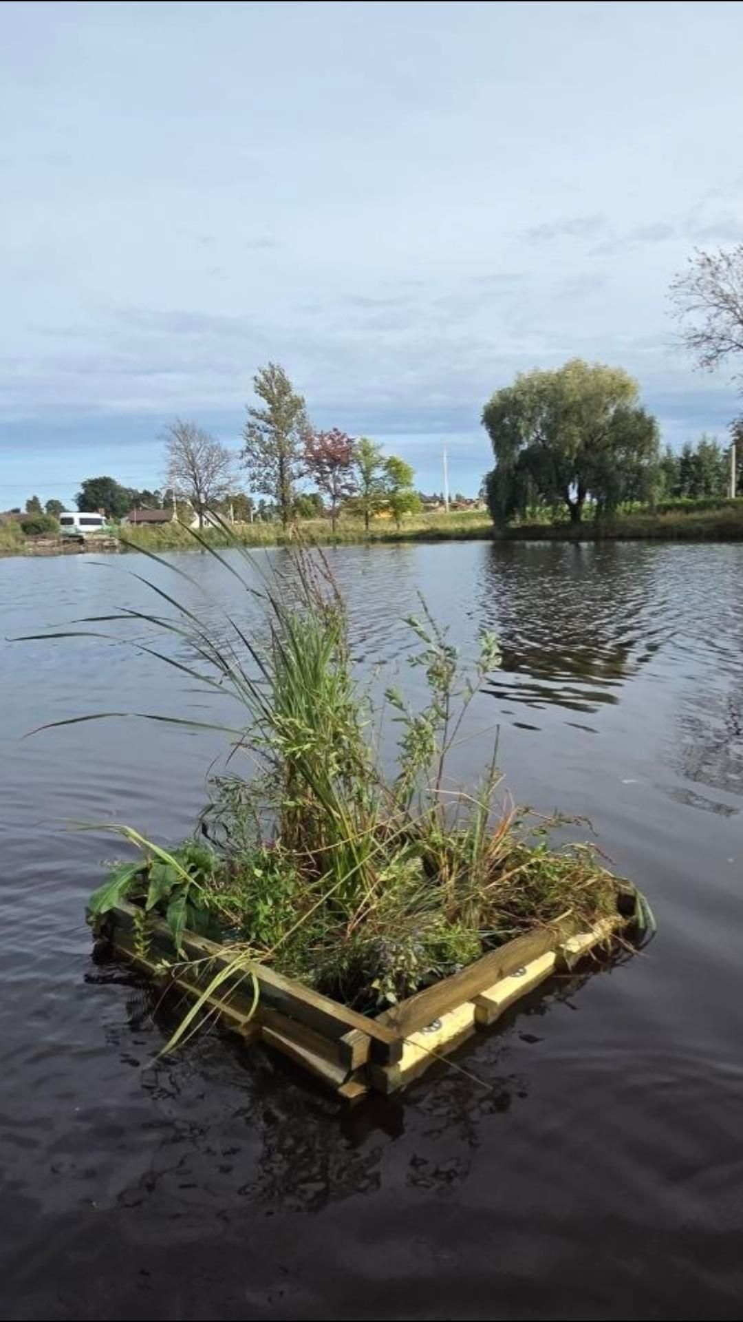Городские водоёмы